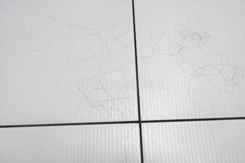 Problems with Hair Loss. There are Lot of Thin Long Human Hair Lying on ...