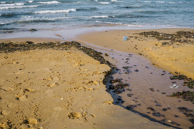 The Problems of Microplastics on the Black Sea Coast. Environmental ...