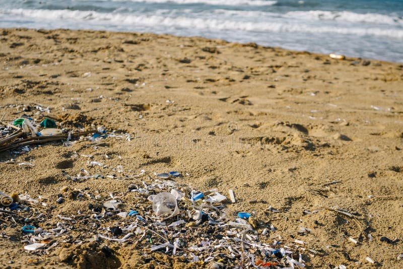 The Problems of Microplastics on the Black Sea Coast. Environmental ...