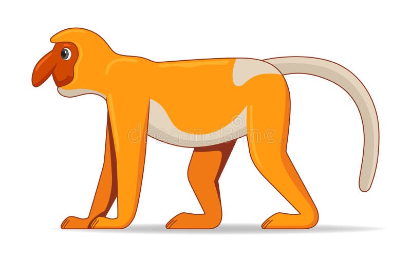 Proboscis Monkey Animal Standing On A White Background Stock Vector - Illustration of design ...