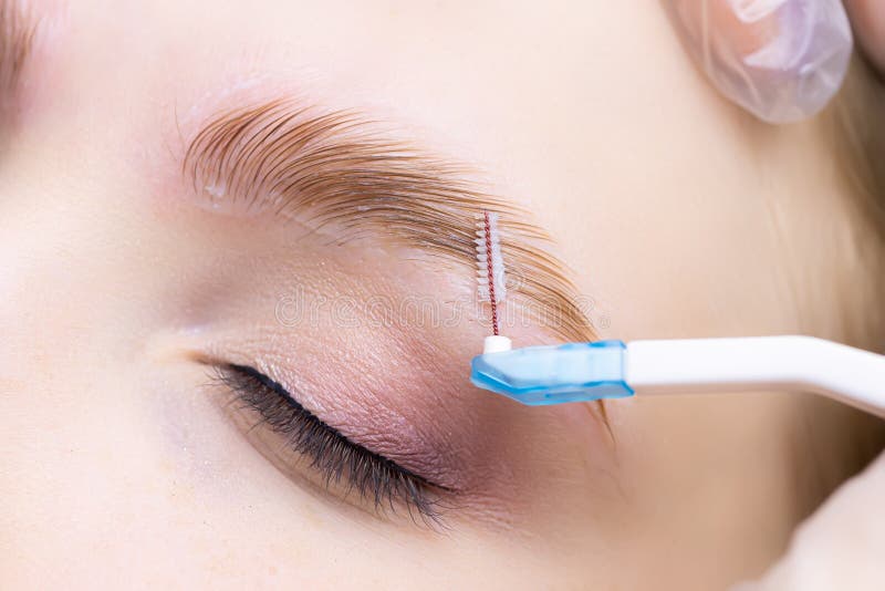 The Procedure of Laminating the Eyebrows of the Master Distributes a ...