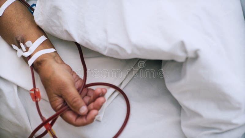 The Procedure for Treating Blood - Hand with Blood-filled Tubes. Stock ...