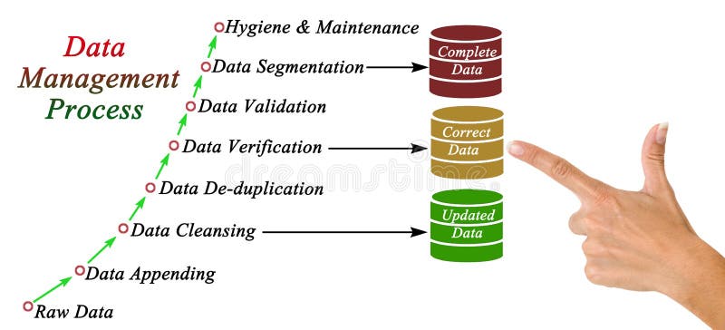 Proceso De Administración De Datos Imagen de archivo - Imagen de ...