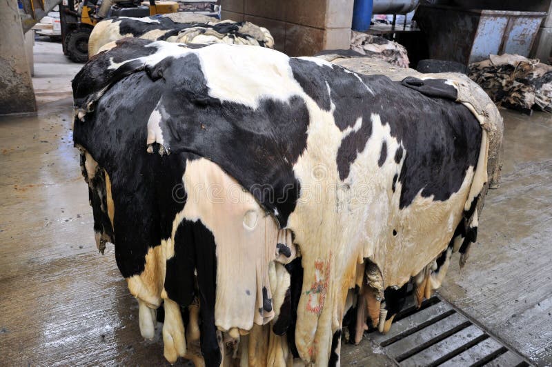 239 De Reciclaje Vaca Fotos de stock - Fotos libres de regalías de ...