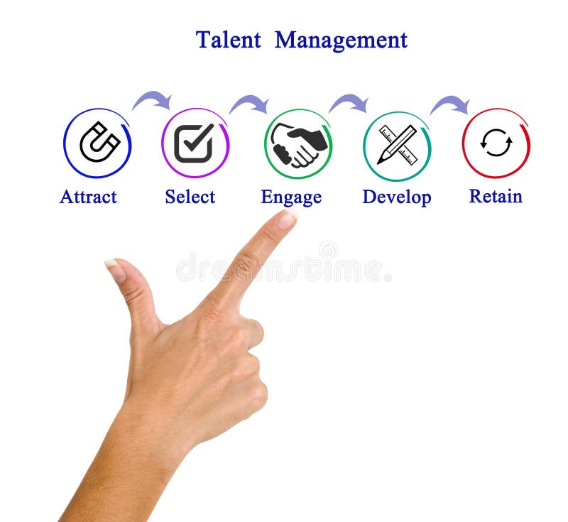 Proceso De La Gestión Del Talento Imagen de archivo - Imagen de proceso, desarrollo: 112564185