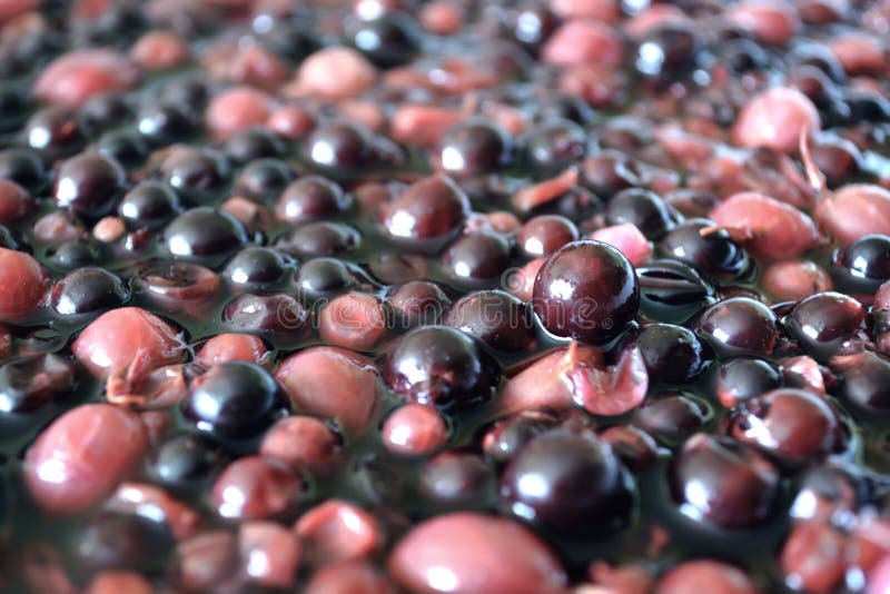 Fermentation of the Mash from Berries for Wine Stock Photo - Image of ...