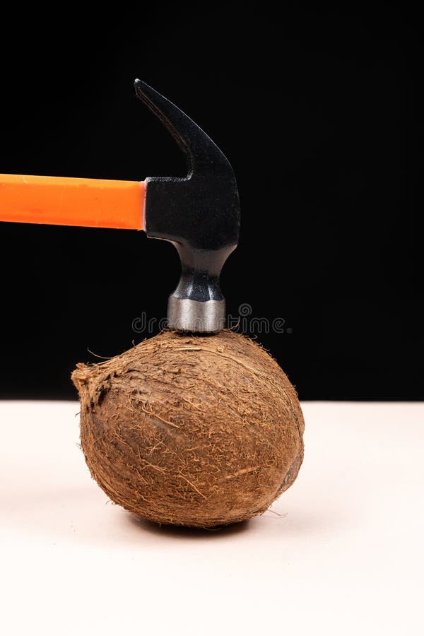 The Process of Breaking a Coconut with a Hammer. Ways To Open a Coconut ...