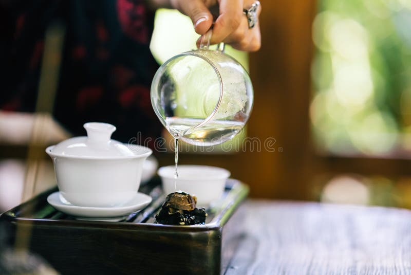 Process Brewing Tea. Woman Steeping Herbal Tea Stock Photo - Image of ...
