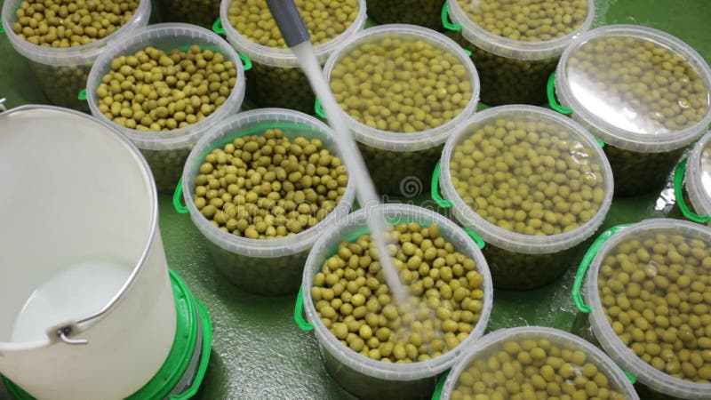 Process of Brine Addition of Pickled Olives in Plastic Buckets before ...