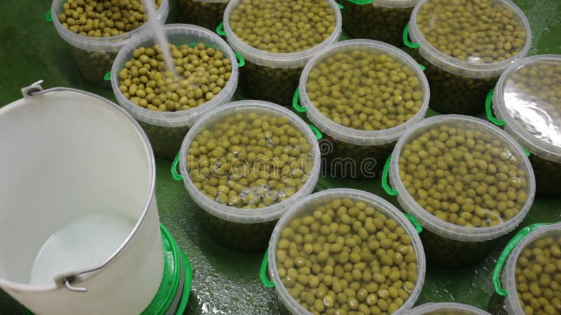 Process of Brine Addition of Pickled Olives in Plastic Buckets before ...
