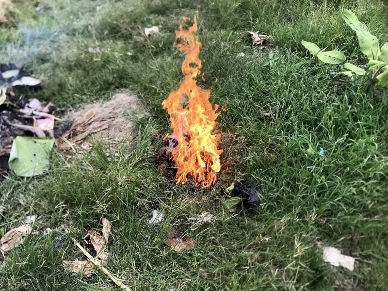 Coconut Shell Burning Process Stock Photos - Free & Royalty-Free Stock ...