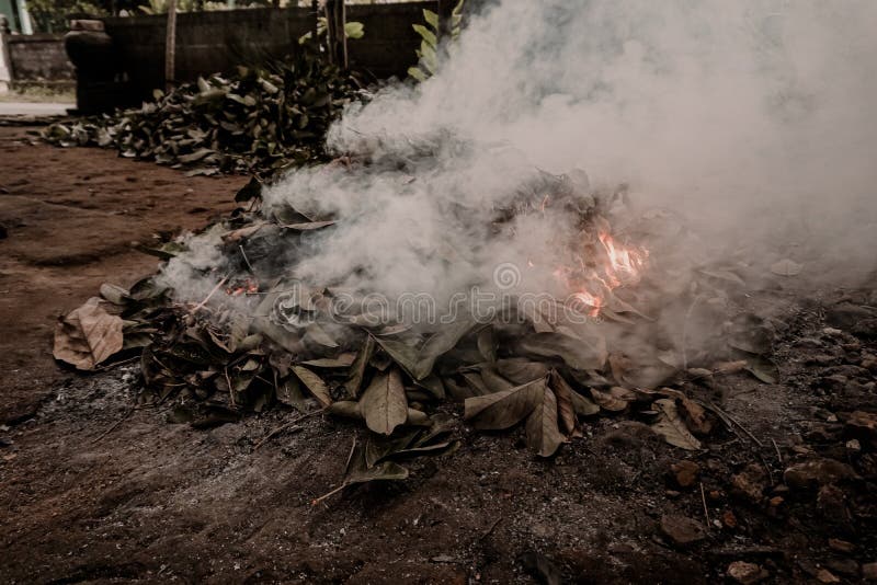 The Process of Burning Dry Leaf Waste Stock Image - Image of waste ...