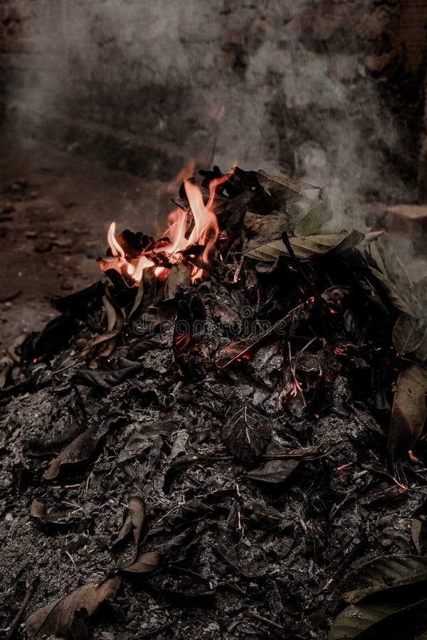 The Process of Burning Dry Leaf Waste Stock Image - Image of burning ...