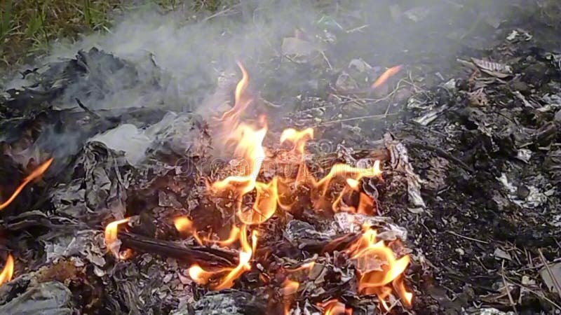 The Process of Burning Garbage with a Blazing Fire. Stock Video - Video ...