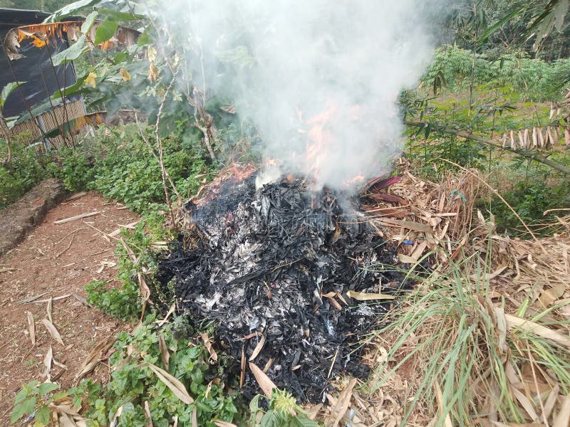 The Process of Burning Garbage in the Garden that Emits White Smoke ...