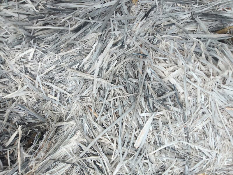 The Process of Burning Rice Straw in Rice Fields Stock Image - Image of tree, wood: 290397267