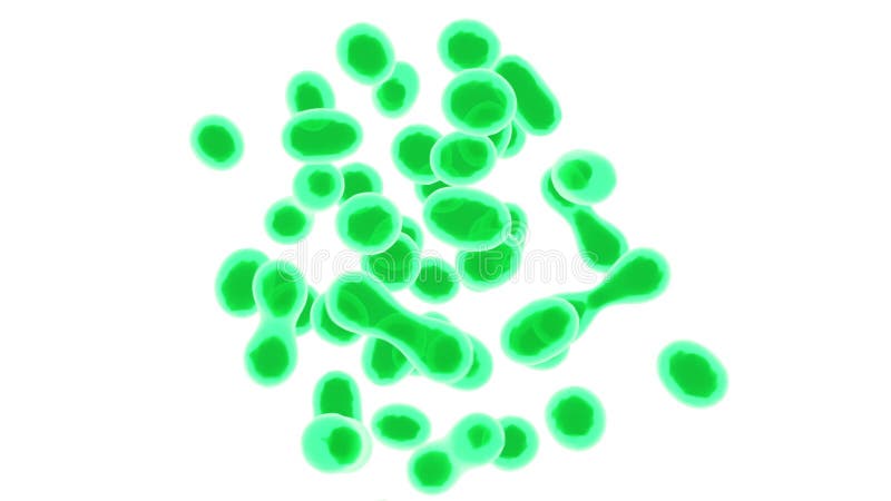 The Process of Cell Division and Multiplication. Medical Science ...