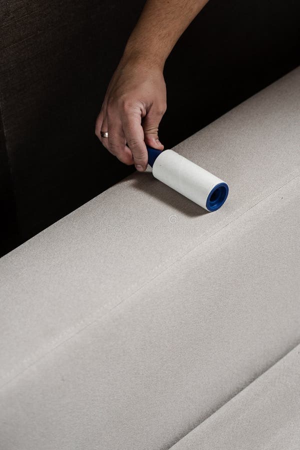 Process of Cleaning Couch Using Lint Roller from Cat and Dog Hair ...