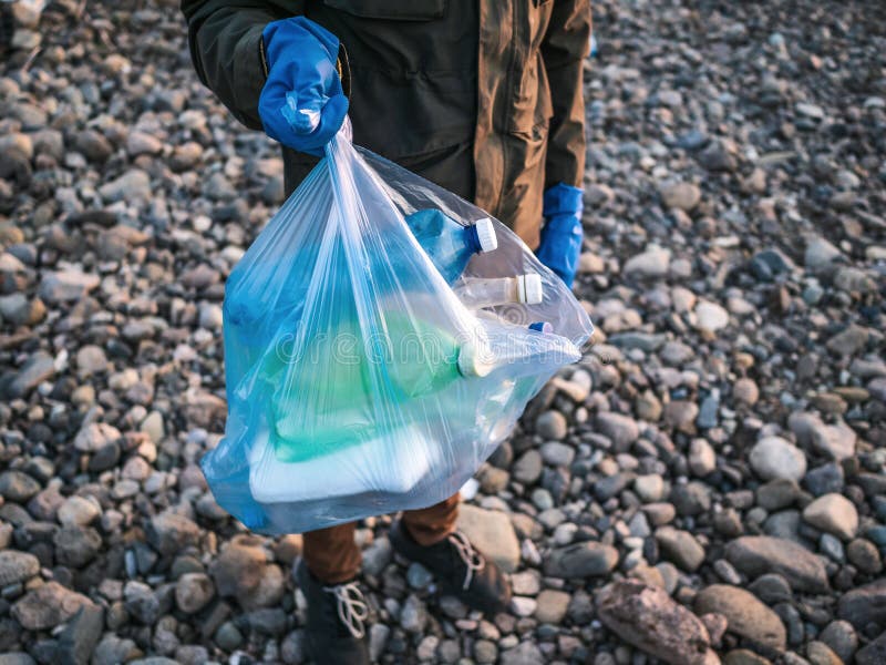 Process of Cleaning Stone Beach from Plastic Waste. Man Holds Plastic ...