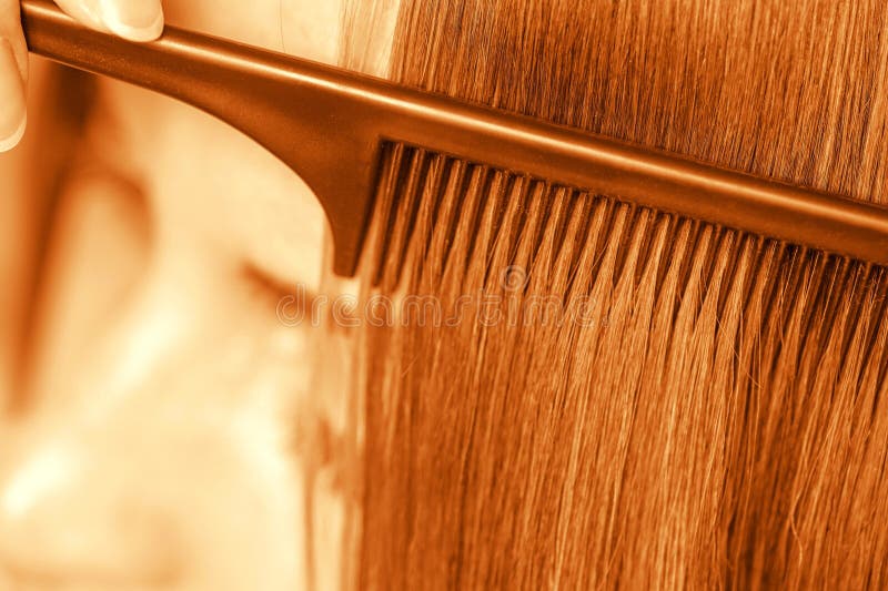 The Process of Combining a Fine Black Comb for Ginger Hair Stock Photo ...