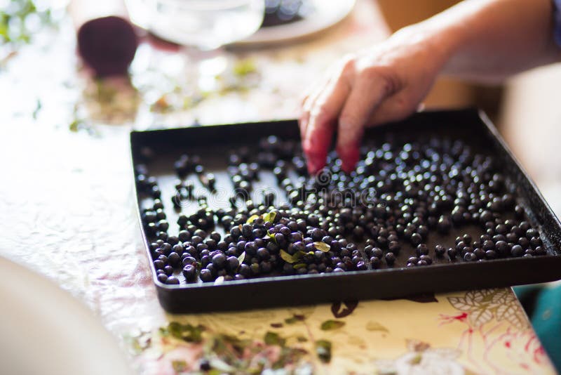 The Process of Cooking Blueberry Jam, Preparation. Close Up Stock Image ...