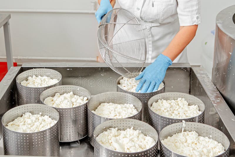 Hands Put the Cheese into Shape Stock Image - Image of occupation ...