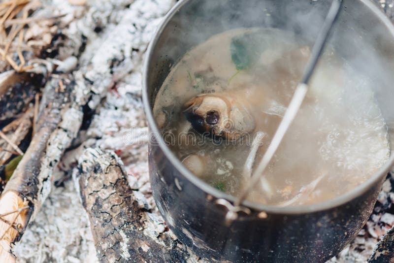 Process of Cooking Fish Broth in Nature of Fishing Stock Image - Image ...