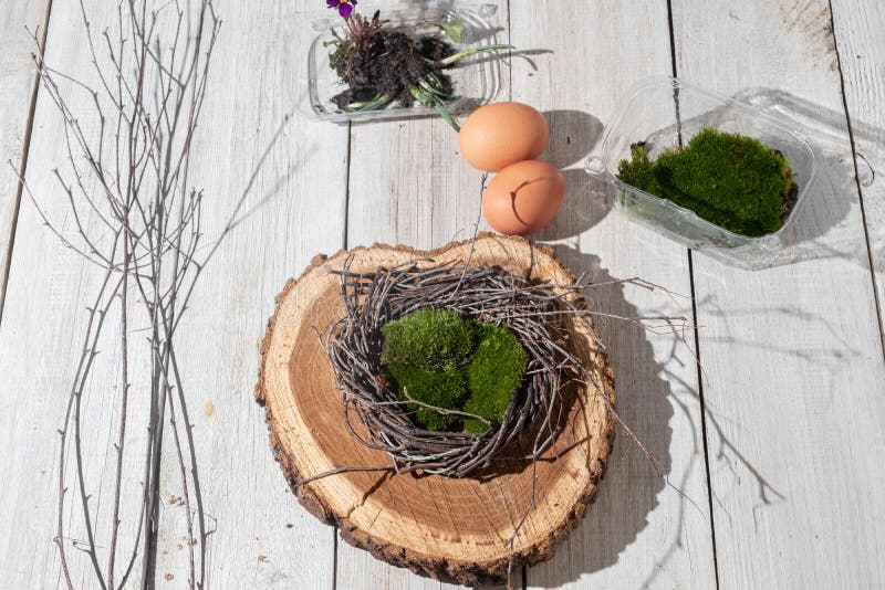 Process of Creating an Easter Decor in a Natural Style. Nest of Birch Branches and Moss and ...