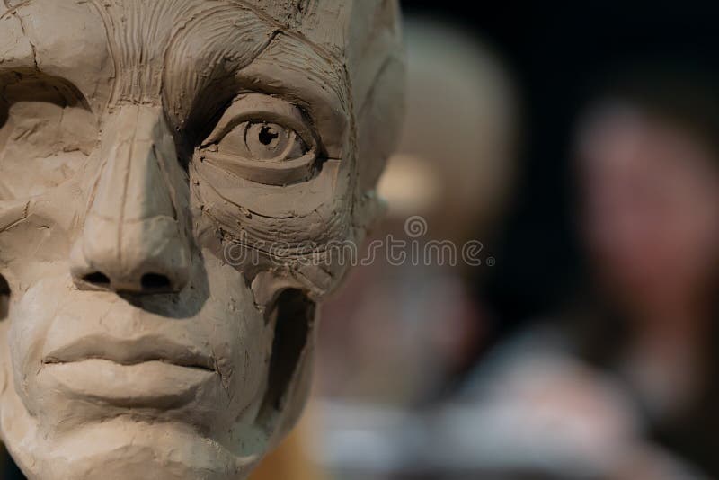 The Process of Creating Ecorche. the Sculptor is Working Stock Photo ...