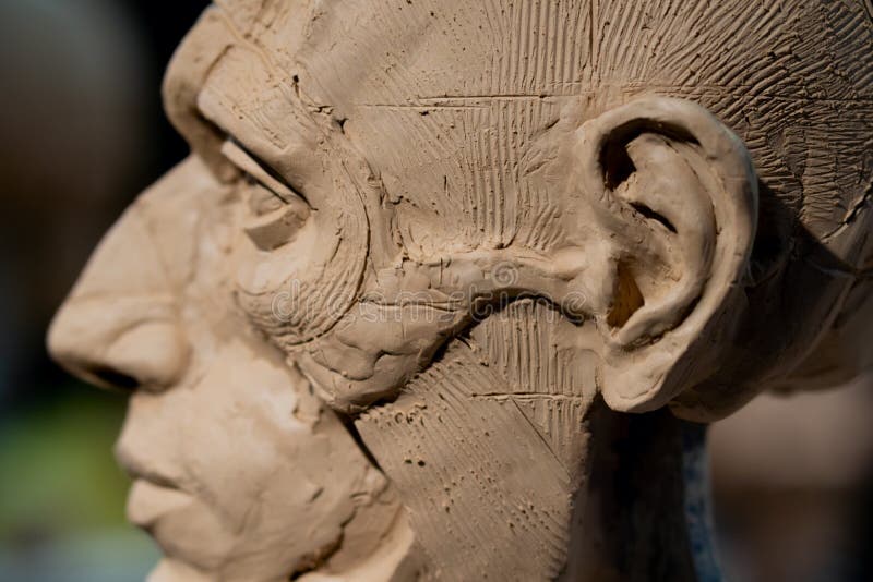The Process of Creating Ecorche. the Sculptor is Working Stock Image ...