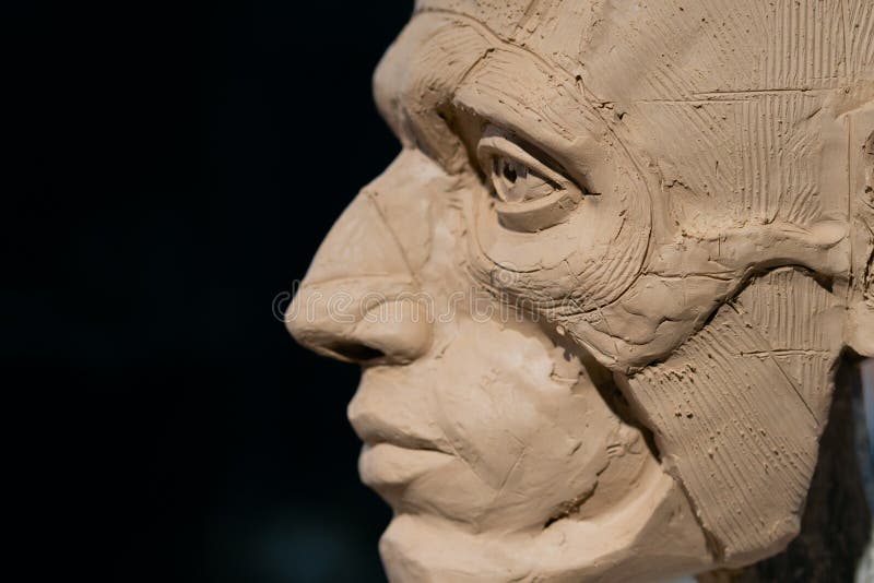 The Process of Creating Ecorche. the Sculptor is Working Stock Photo ...