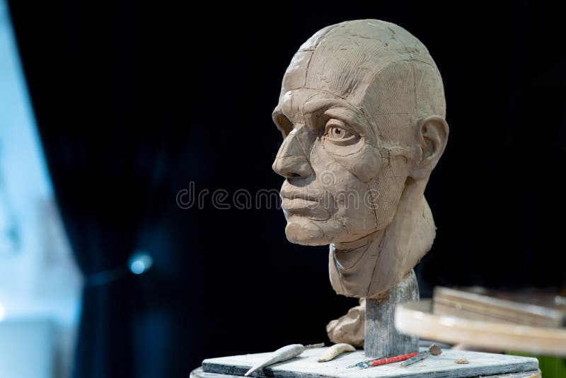 The Process of Creating Ecorche. the Sculptor is Working Stock Photo ...