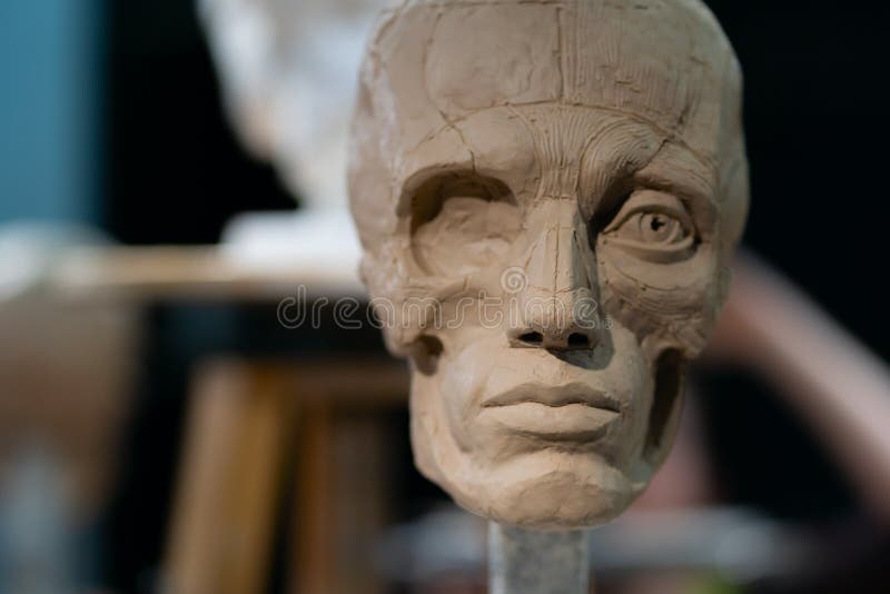 The Process of Creating Ecorche. the Sculptor is Working Stock Photo ...