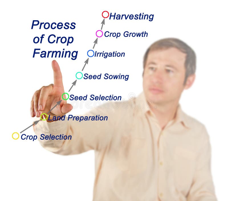 Process of Crop Farming stock image. Image of 5155, land - 339747139