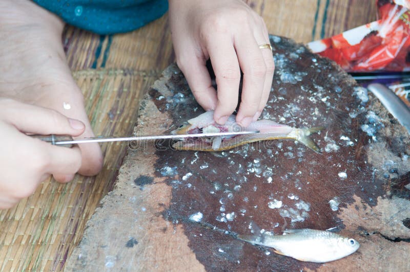 Process of Cutting Fresh Fish Stock Image - Image of silver, closeup ...