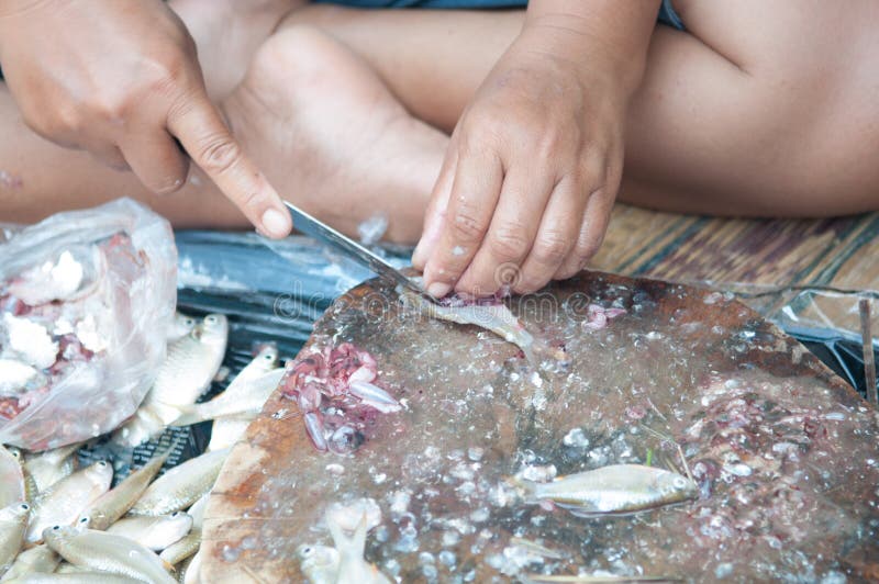Process of Cutting Fresh Fish Stock Image - Image of fish, animal: 40052517
