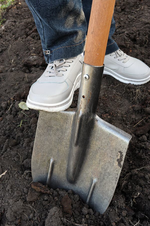 Digging Earth with a Shovel Stock Photo - Image of health, working ...