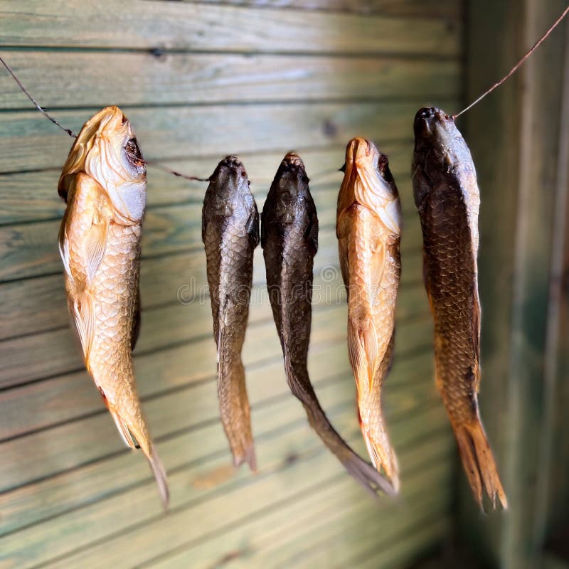 The Process of Dried Fish, Fishing Stock Image - Image of process ...
