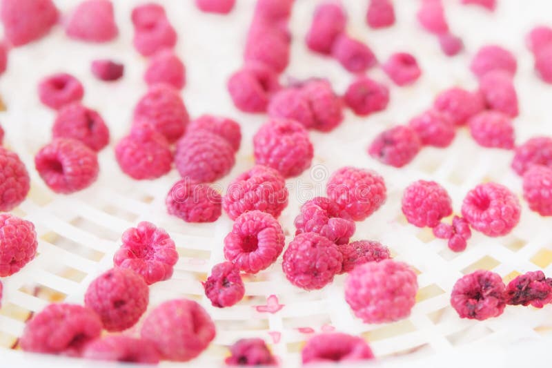 Process of Drying Raspberry Berries in a Kitchen Appliance. Raspberry ...