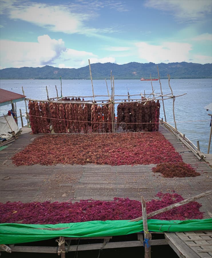 Nunukan Regency Stock Photos - Free & Royalty-Free Stock Photos from ...