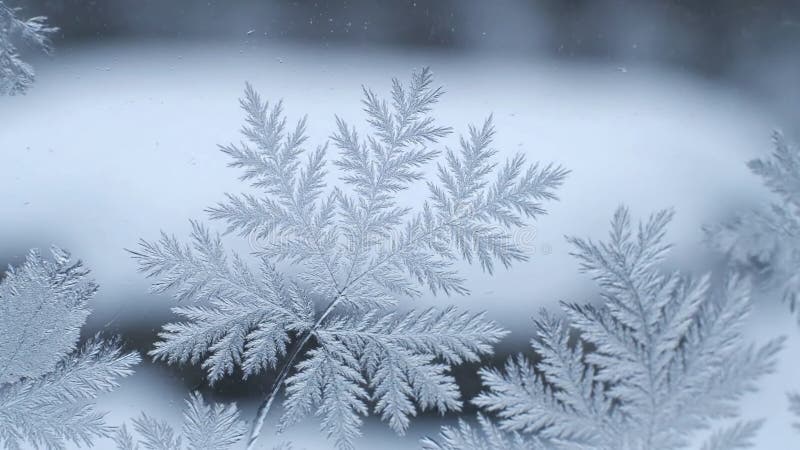 Time Lapse Sequence Capturing the Ethereal Transformation As ...