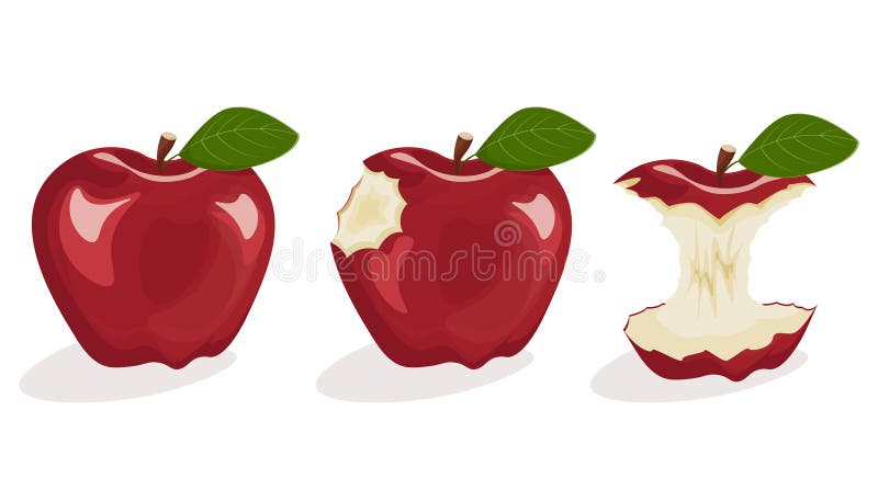 The Process of Eating an Apple. Whole and Core Apple Stock Vector ...