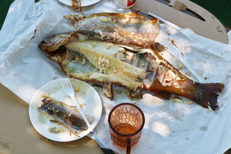 The Process of Eating Fish Hot Smoked Trout Stock Photo - Image of fish ...