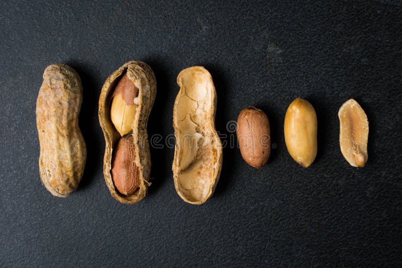 Process of Eating Peanuts in Row on Black Surface Stock Photo - Image ...