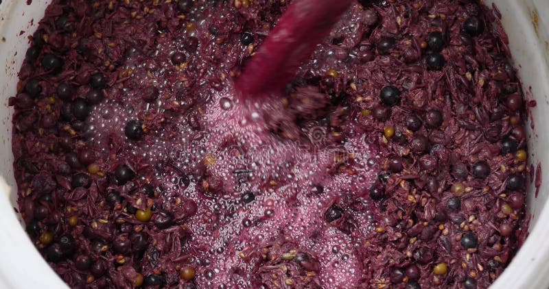 Process Fermentation Grapes of Red Wine in a Barrel Stock Video - Video ...