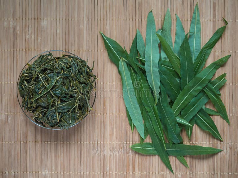 Process of Fermentation of Tea. Manual Processing Ivan Tea Fermentation ...