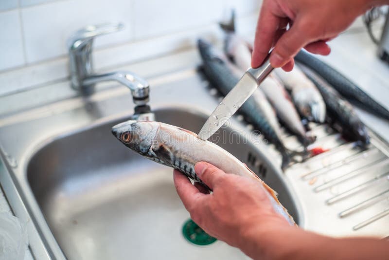 Process of Filleting or Preparing a Fish To Cook, Food Concept Stock ...