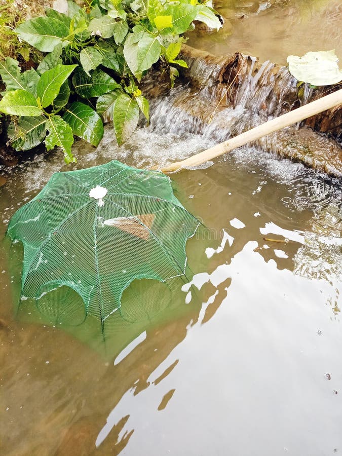 The Process of Finding Fish Using Tools that are Practical, Easy and ...