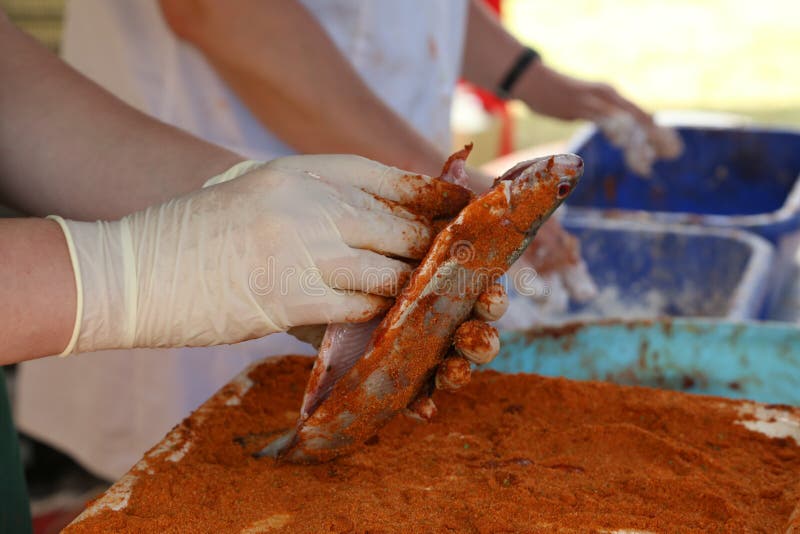 Process of frying fish stock photo. Image of fillet, cooking - 93267574