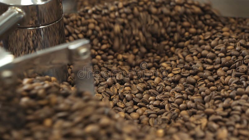 Process of Grinding Coffee Beans in Machine. 4K Stock Footage - Video ...
